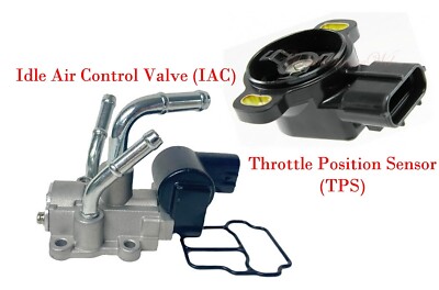 Idle Air Control Valve & TPS Sensor Fits Lexus ES300 Toyota Avalon ...