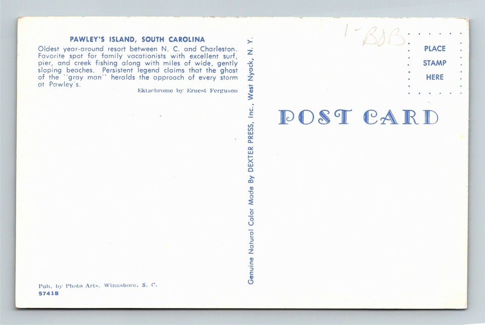 Atlantic Ocean Beach Pier Dunes, Pauley's Island South Carolina Vintage ...