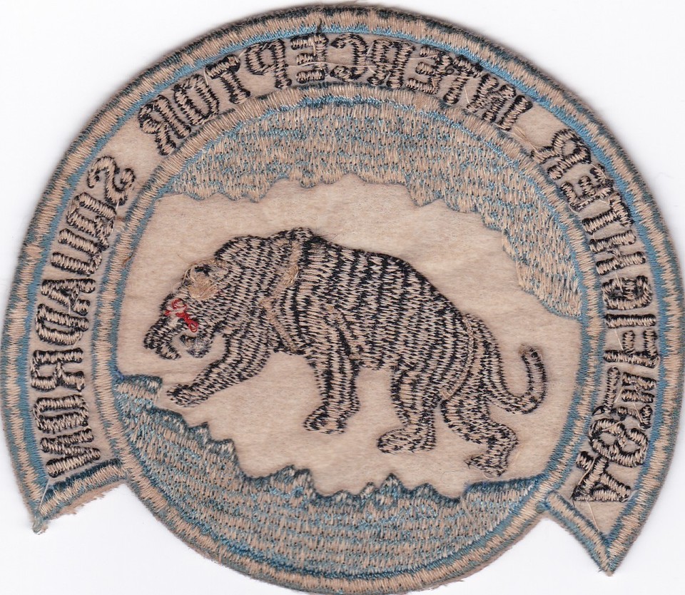 USAF 46th Fighter Interceptor Squadron Patch N-14 | eBay