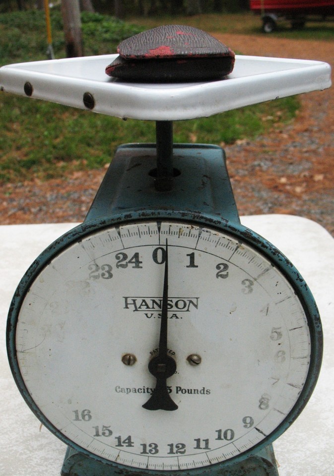 Ant Goldtoned Wire Rimmed Spectacles in Marked W S Brown Huntingdon ...