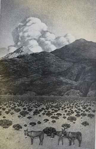 1902 Maxfield Parrish Illustrations Great Southwest Gold Mines Desert ...