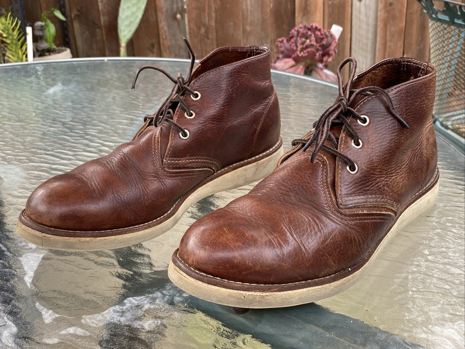 Red Wing Chukka Boot 3141 Briar Oil Slick size 12 D - Gem