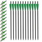20'' Crossbow Bolts Arrows 100 Grain Hunting Broadheads Arrow Heads ...