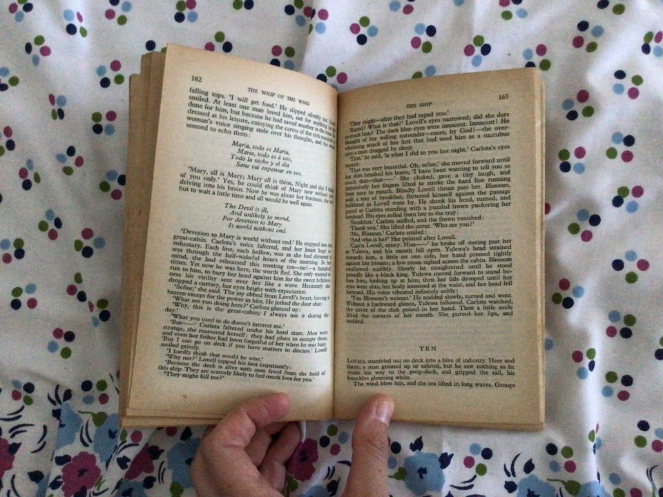 The Whip of the Wind by Heath Joyce Paperback Book Navy Spanish War and ...