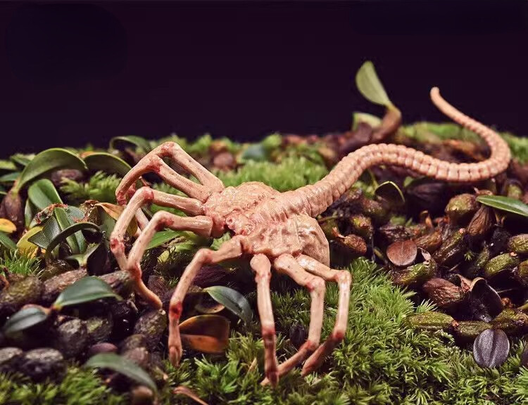 Fire Girl Toys FG027 1/6 scale Chestburster Alien Larva Action Figure ...