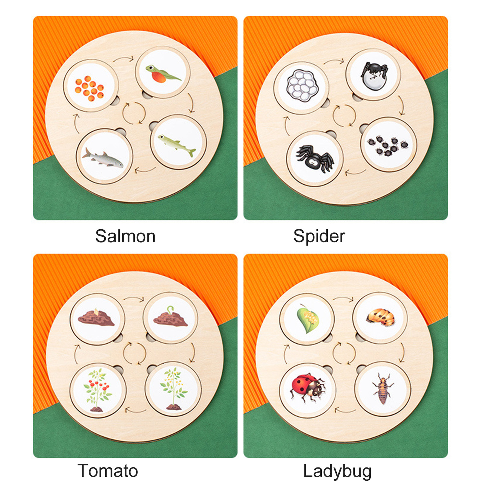 1 Set Kids Puzzles 10 Themes Diy Life Cycle Deduction Board Tell ...