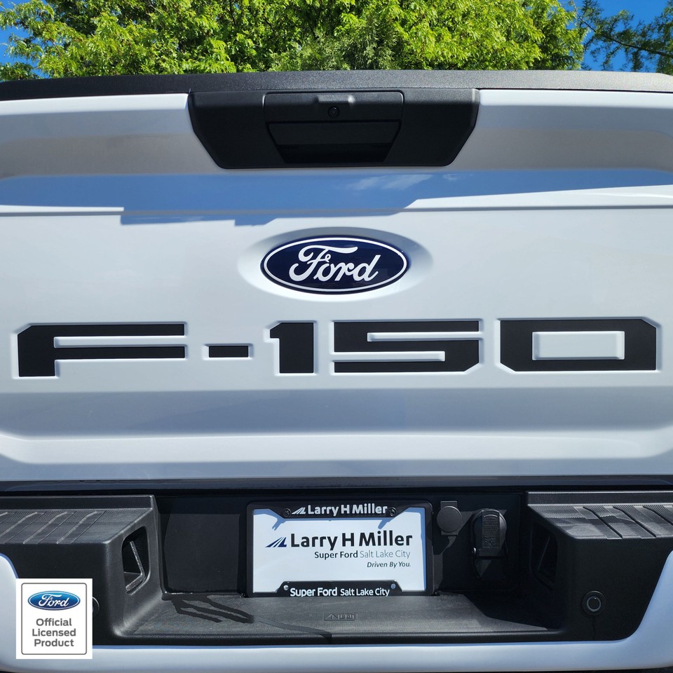 2021-2025 Ford F-150 tailgate letters F150 vinyl inserts decals ...