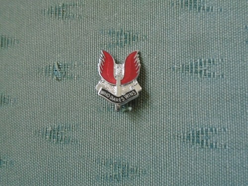 OLDER SAS REGIMENT - WHO DARES WINS - MILITARY ENAMEL LAPEL PIN BADGE ...