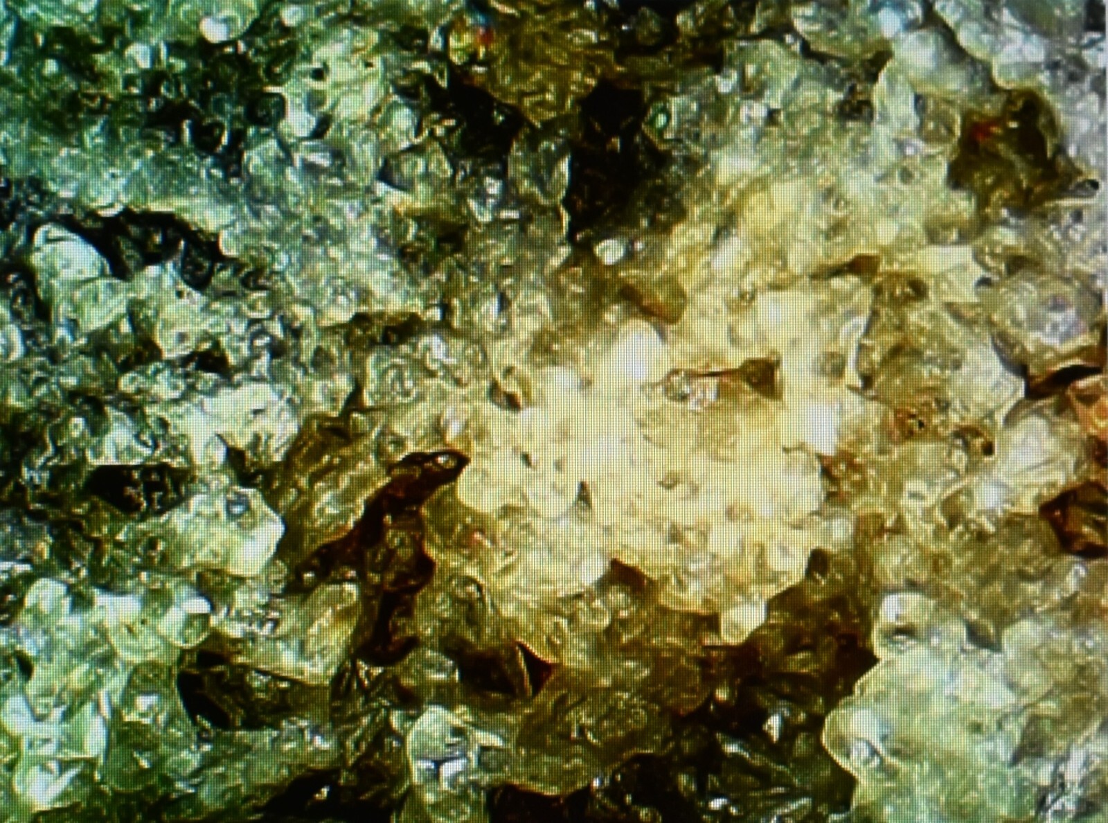 Golden Drusy Crystal Brain Geode North Carolina on Display Carved Wood ...