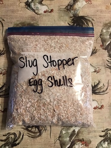 SLUG STOPPER! Dried Crushed EGGSHELLS, organic slug control, Garden ...