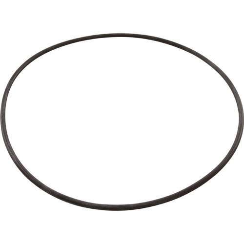 Zodiac Jandy/Teledyne Laars O-Ring, Jandy SHPF/JEP/PHPF, Seal Plate # ...