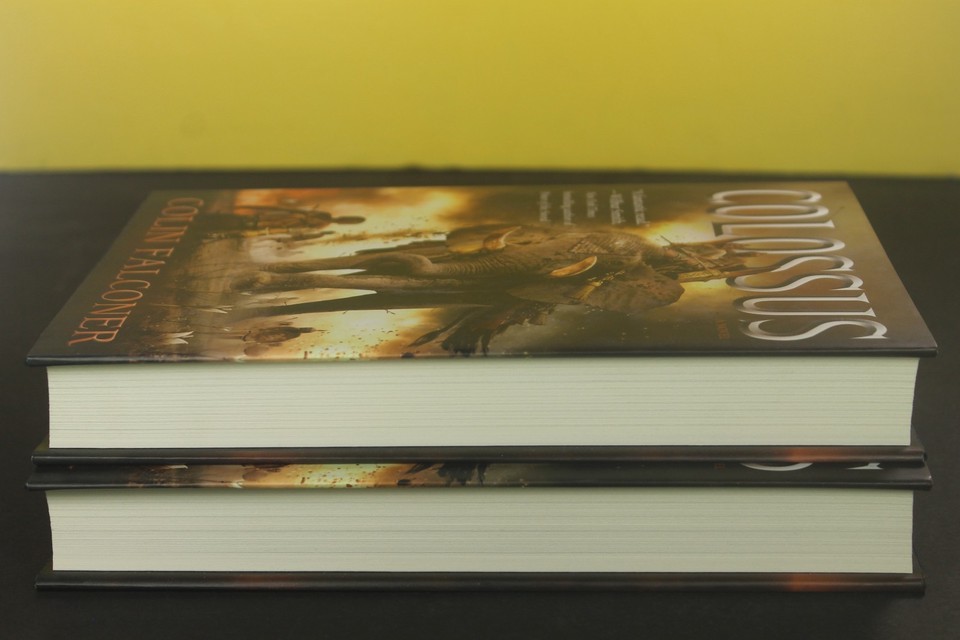 Colossus : A Novel by Colin Falconer (Hardcover) NEW 9781250050830 | eBay