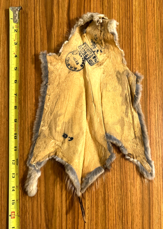 Tanned Muskrat Skin, Fur, Fly Tying, NR | eBay