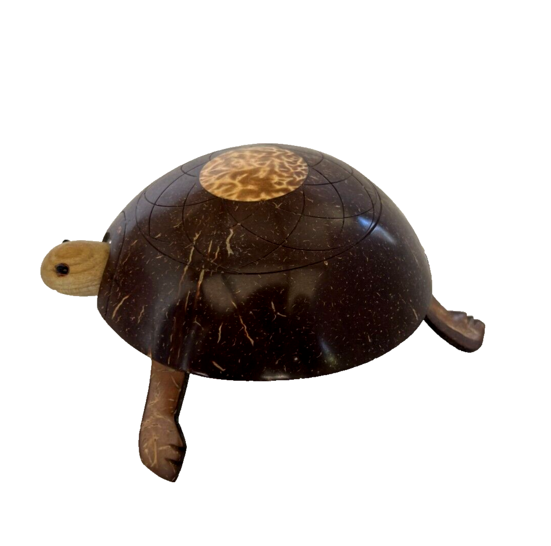 KING COCONUT SHELL TURTLE ORNAMENT Shine Design New | eBay