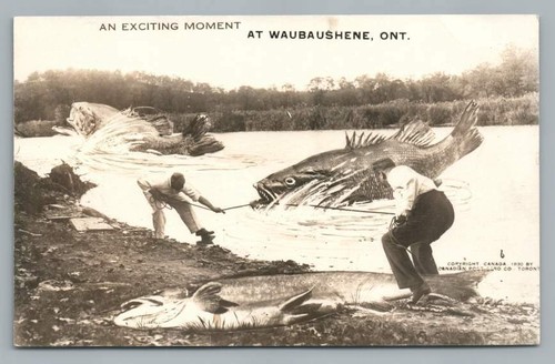Waubaushene Ontario "Exciting Moment" Giant Fishing Exaggeration RPPC ...