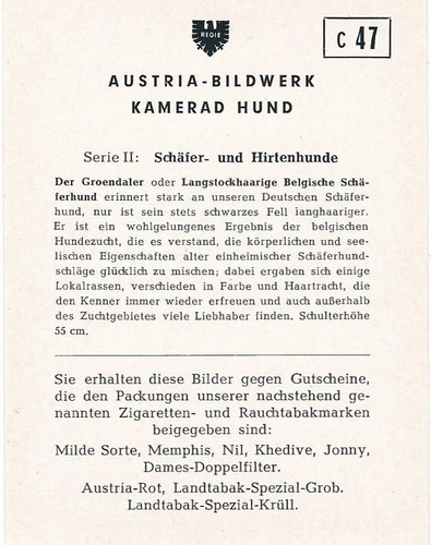 26/216 SAMMELBILD - DER GROENDALER o. LANGSTOCKHAARIGE BELGISCHE ...