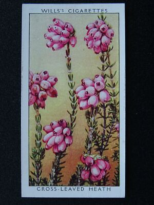 CROSS LEAVED HEATH Wild Flowers 2nd Series (Adhesive) Published by ...