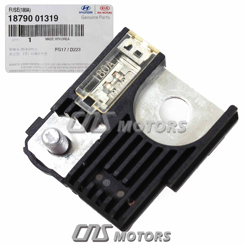 ⭐GENUINE⭐ AMP Fuse for 13-19 Santa Fe Tucson Cadenza Optima Sorento ...