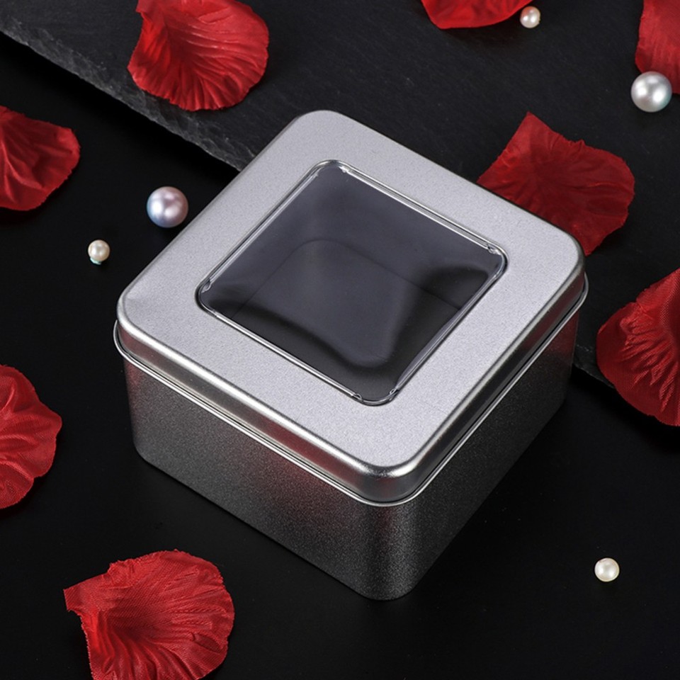 2 Pcs Tin Box Travel Mini Tinplate Storage Boxes Metal Container with ...