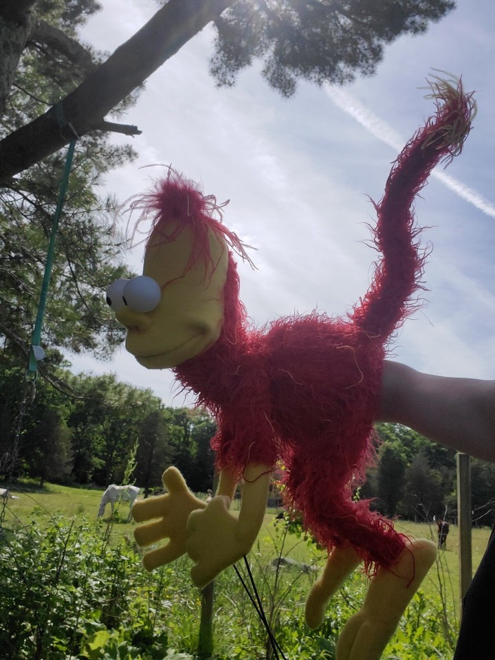 Custom Made Professional Full Body Monster Puppet!!! | eBay