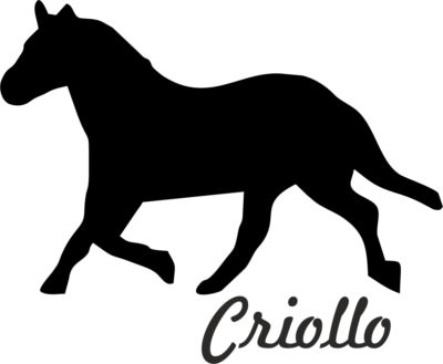2x Adhesivos para el coche " CRIOLLO " caballo Sticker Pegatina sin ...