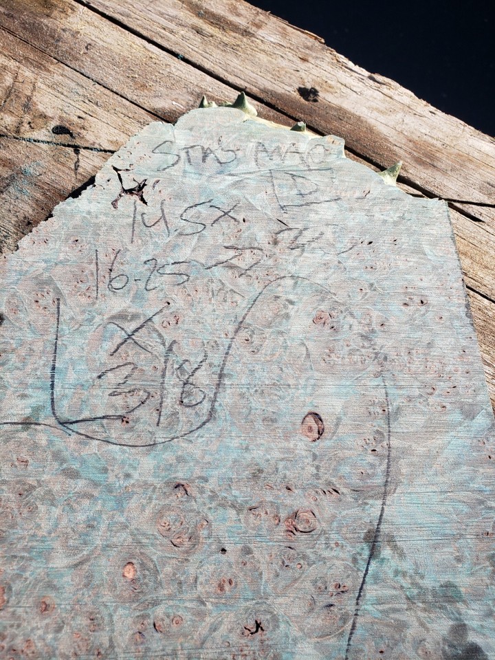 Blue maple burl dyed & stabilized top guitar top wood bass figured wood ...