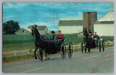 Two Amish Courting Buggies With Couples Bird-in-Hand Pennsylvania ...