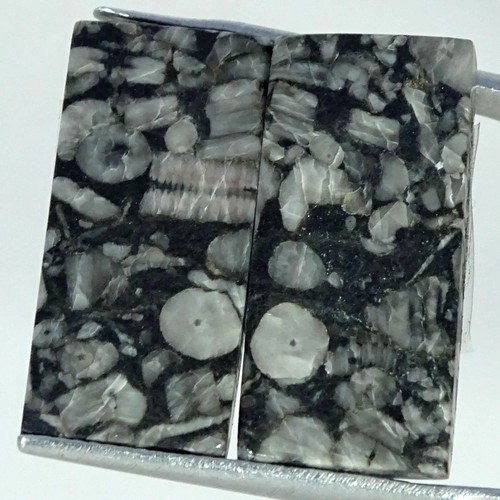 19.20 Cts Natural Crinoid Fossil Octagon Cabochon Pair Jewelry Supply ...