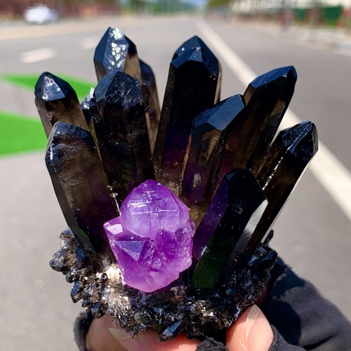 273G New Find black+purple Phantom Quartz Crystal Cluster Mineral ...