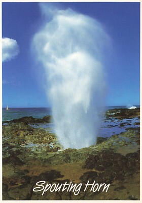 Postcard HI Spouting Horn Kauai Island Lava Rocks Volcano Poʻipū ...