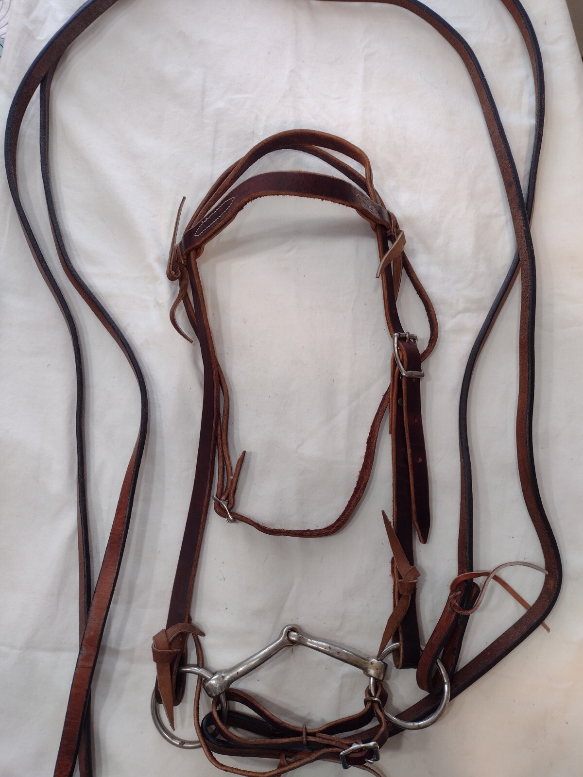Western Leather Headstall Bit And Reins | eBay
