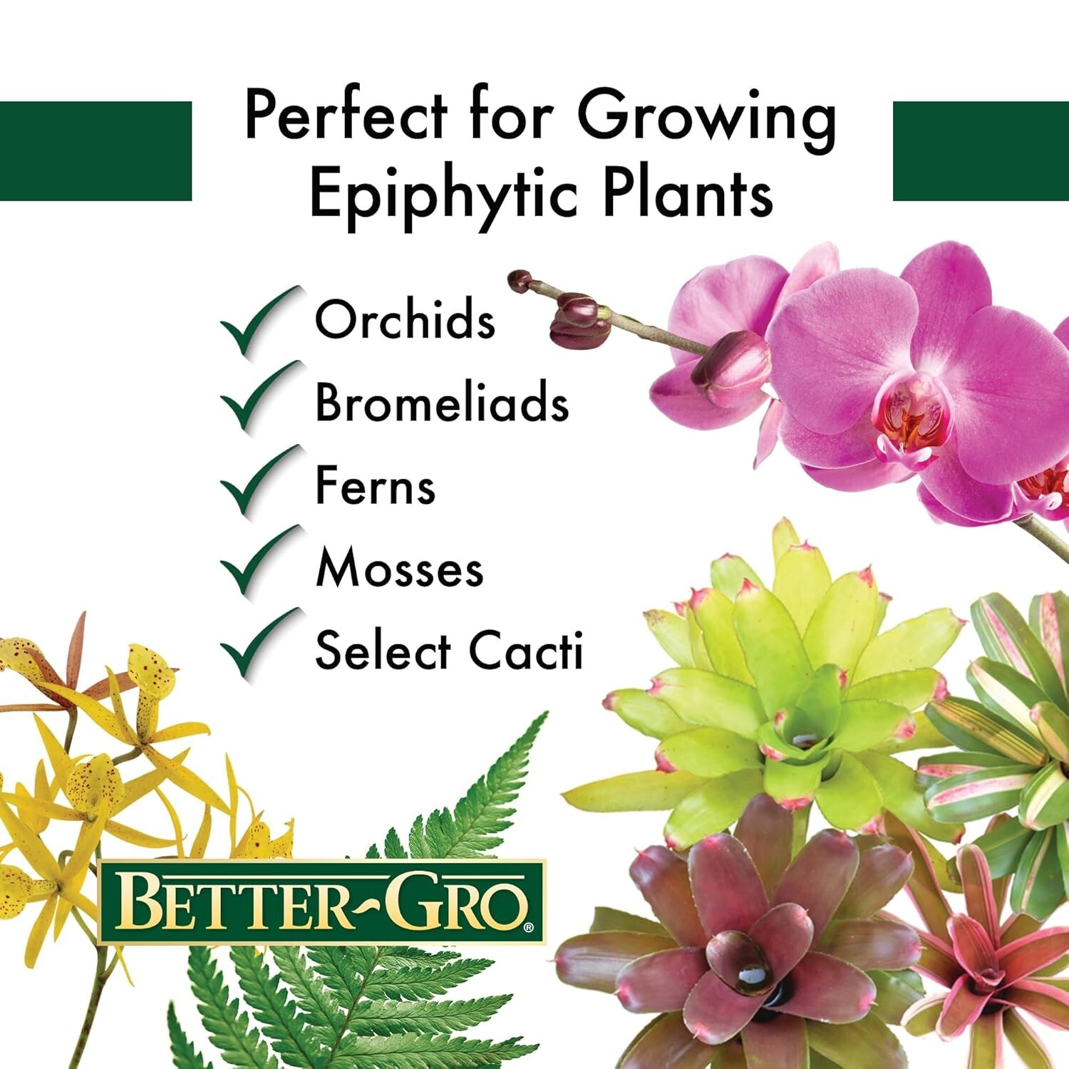 Sun Bulb Company Inc 50180 Better GRO 4-Quart Orchid Bark, Brown (Pack ...