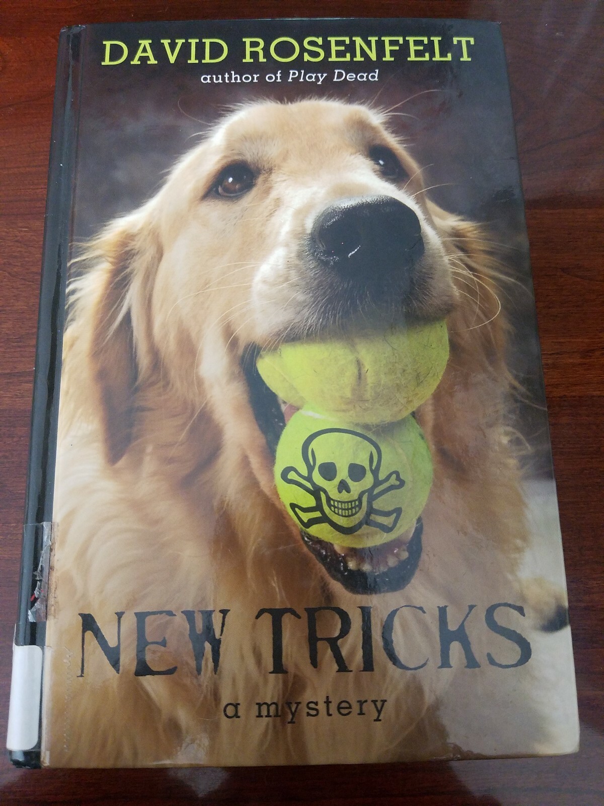 New Tricks David Rosenfelt 9781410420190| eBay