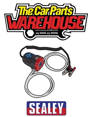 Sealey TP9312 Engine Oil Diesel Transfer Pump - 12 Volts Portable ...