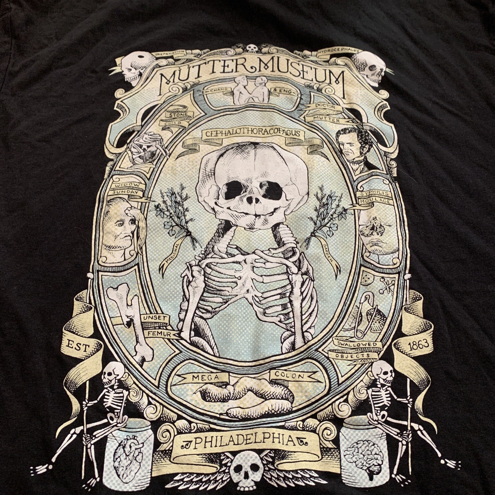 RARE Mutter Museum The College of Physicians of Phila… - Gem