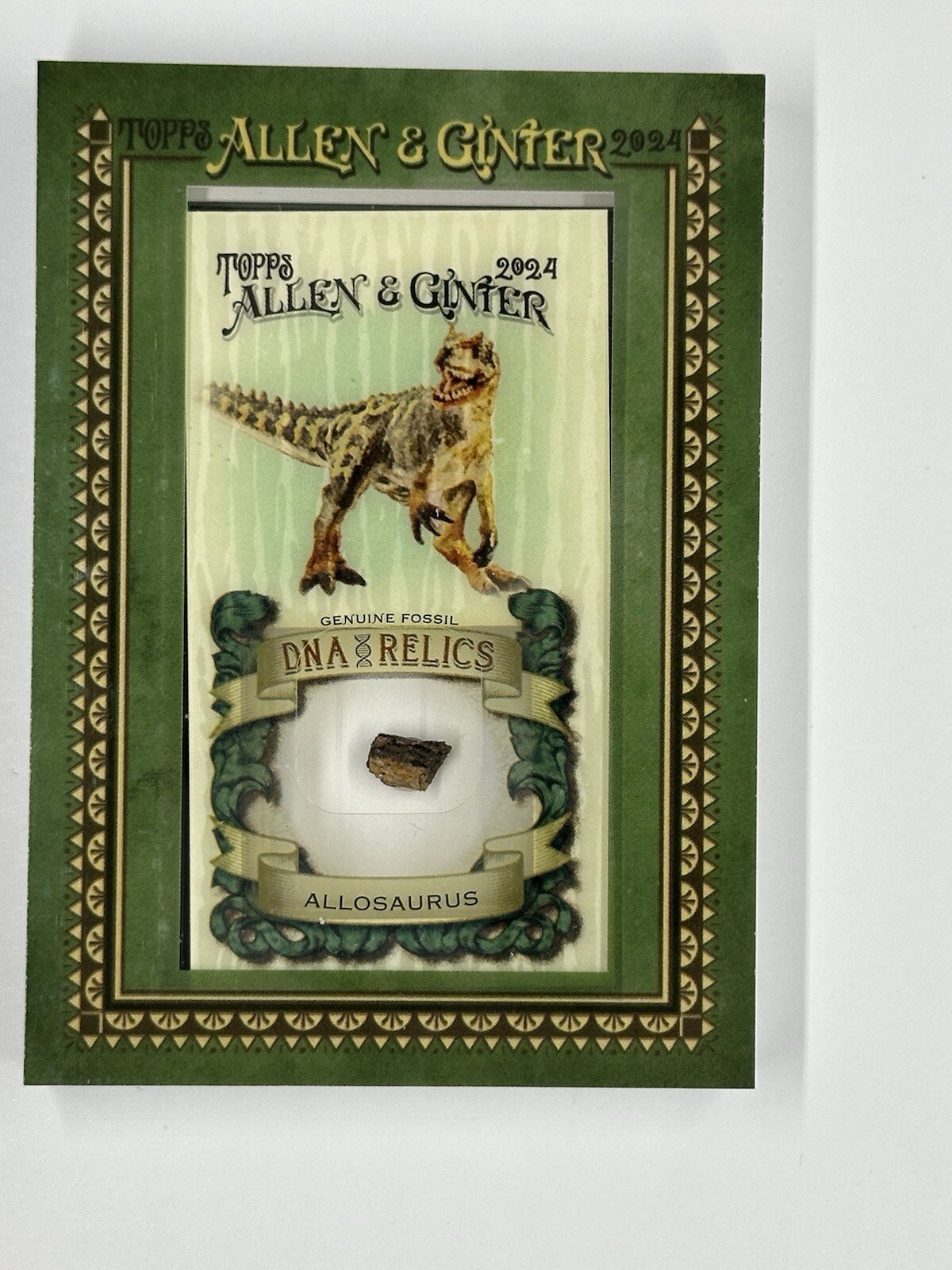 🔥RARE 2024 Topps Allen & Ginter DNA Fossil Relic Allosaurus 3/10 ...