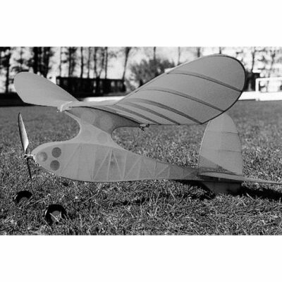 Bauplan Slow-Boy | eBay.de