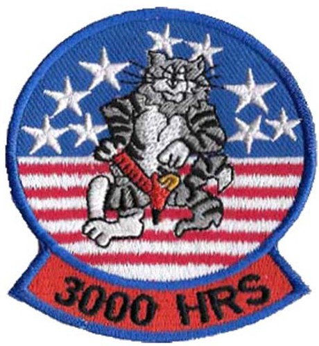 Top Gun Tom Cat Tomcat F-14 Patches Embroidered Badges Sew on/Iron on ...