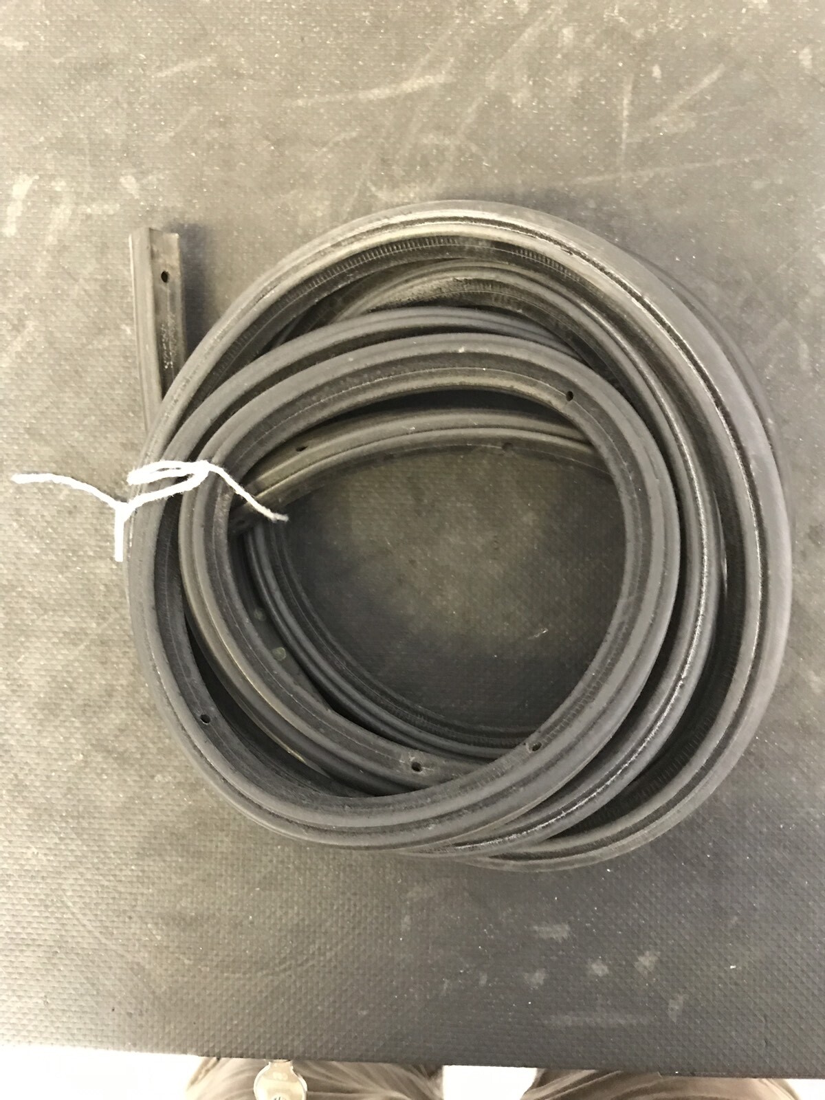 Ford Focus Inner Door Rubber Seal Rear Left Passenger | eBay UK