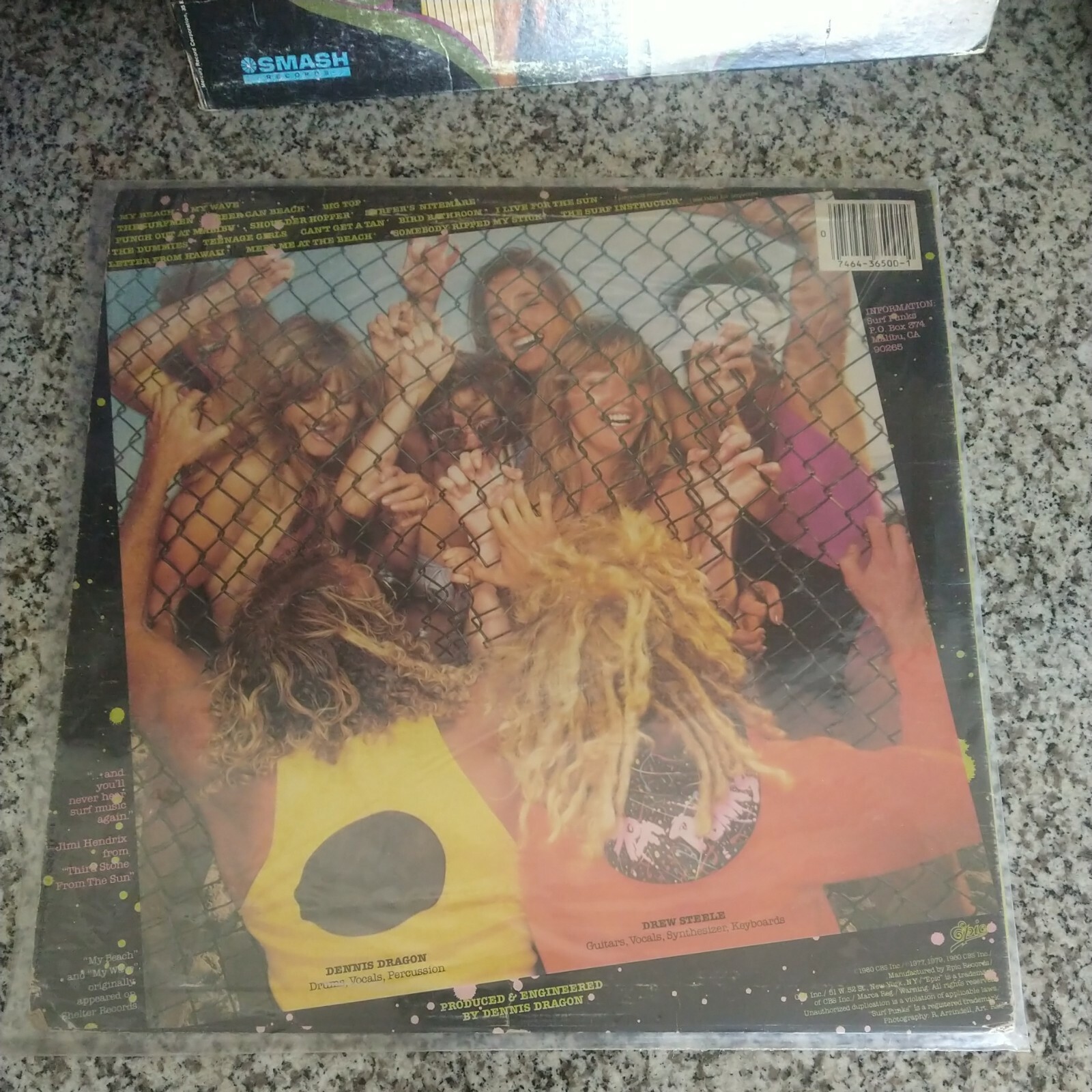 Surf Punks My Beach 1980 Vinyl LP Epic Records NJE 36500 1st Press See ...