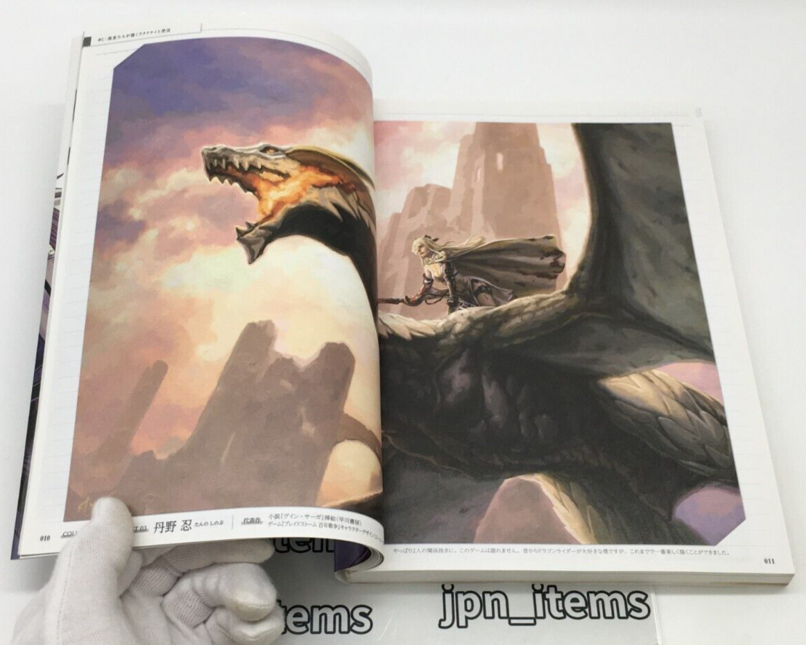 Drug on Dragoon 3 Drakengard 3 The Complete Guide DOD3 Art Illustration ...
