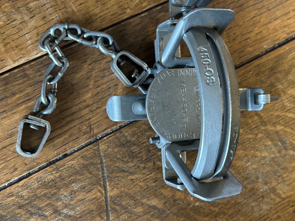 MB 450 FH Traps 2 Set Trapping Fox Raccoon Bobcat Coyote Minnesota ...