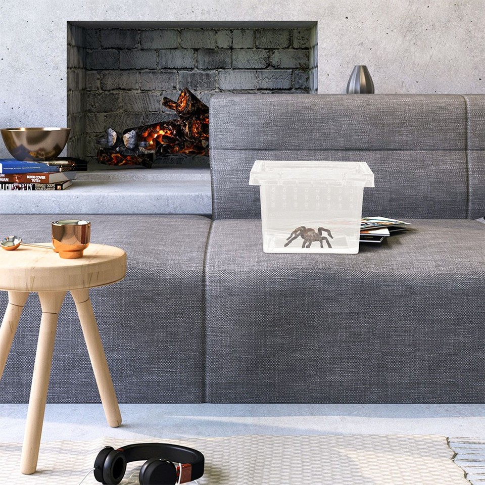 12Pcs Portable Reptile Box For Snakes Lizards Frogs and Insects | eBay ...