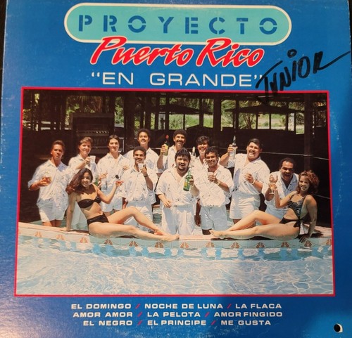 Proyecto Puerto Rico En Grande LP Merengue SONOTONE | eBay