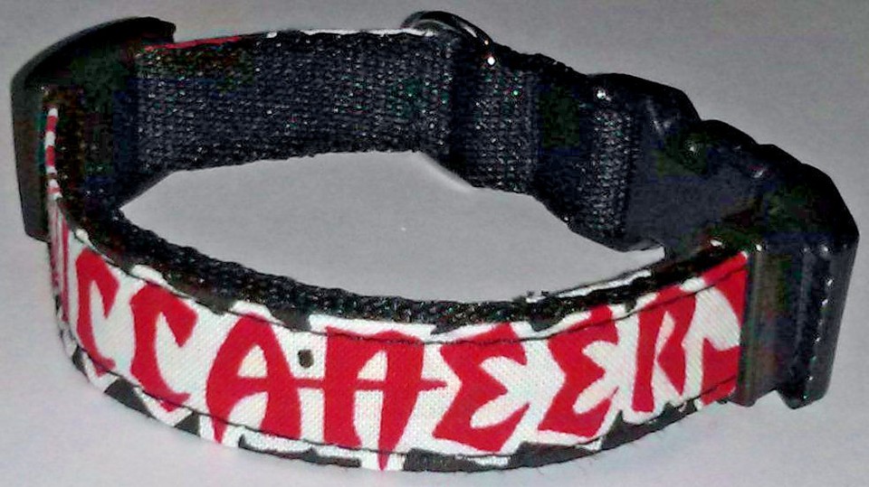 Tampa Bay Buccaneers COLLAR Cat Dog Medium Pet Football Fan Gear NFL ...