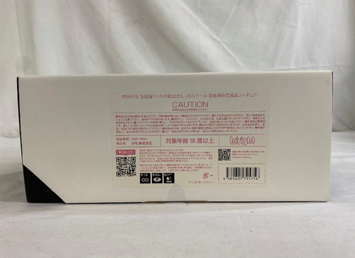 Insight Official Nikkan Girl Asakura Pet ver. 1/6 scale PMMA figure ...