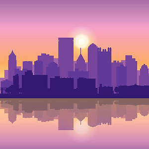 Pitt Picker | eBay Stores