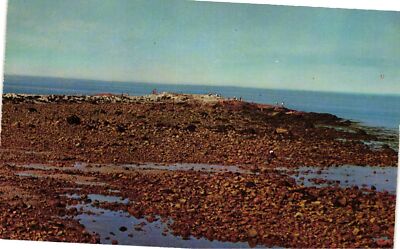 Vintage Postcard- ROCKS, BRANT ROCK, MA. | eBay