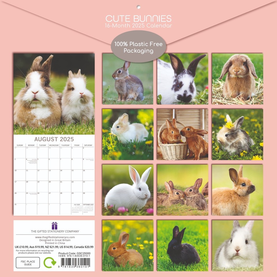 Rabbits Bunny Rabbits Bunnies "12 x 12" Square Wall Calendar 2025 | eBay UK