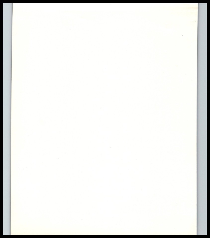 Hollywood Beauty BARBARA LANG LEGGY CHEESECAKE 1950s PORTRAIT Photo 705 ...